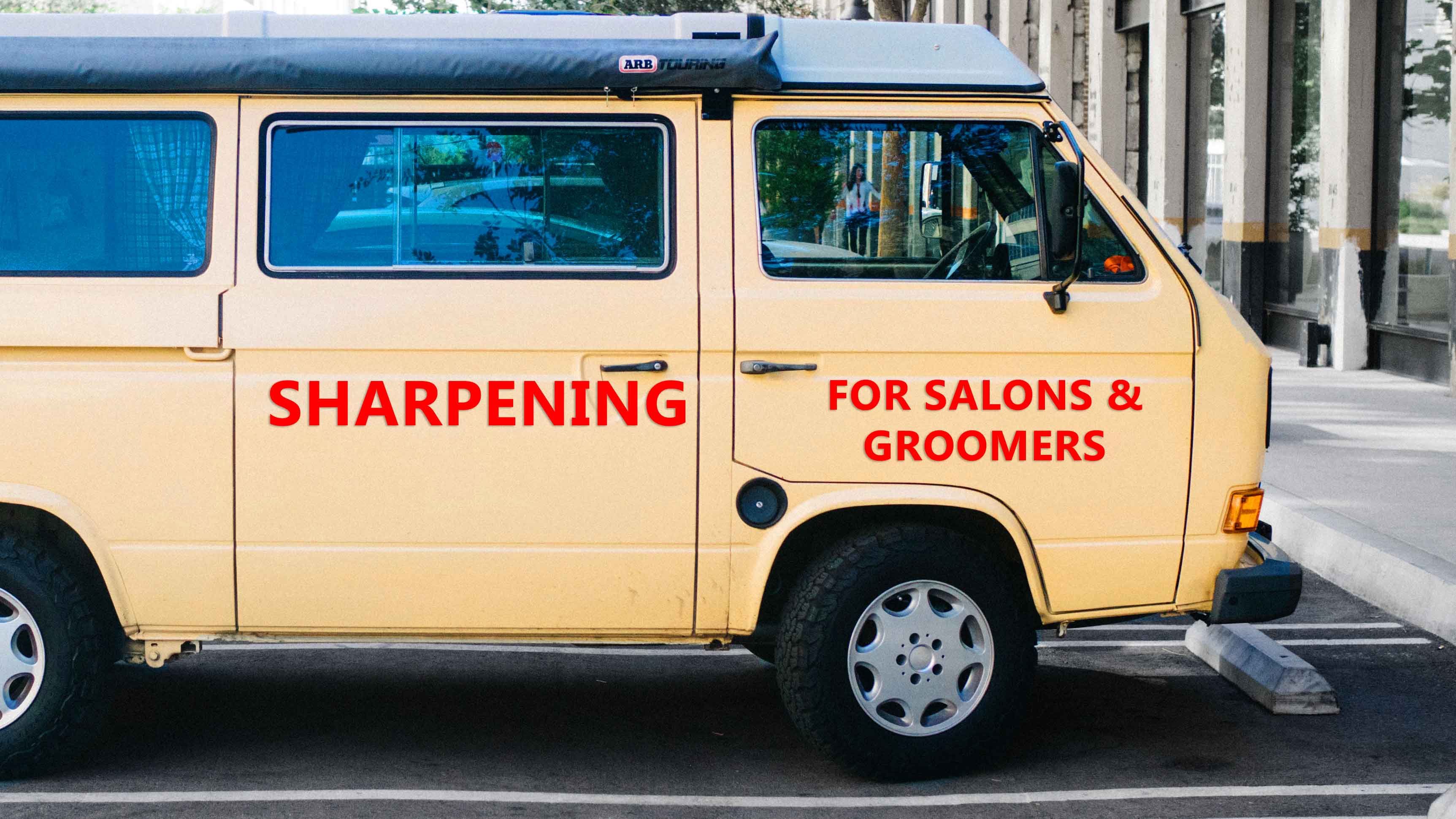 Sharpener Shopping - Bonika Shears