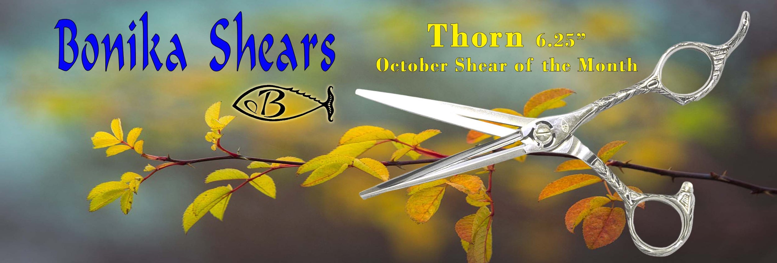 Bonika Shears