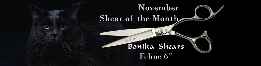 Bonika Shears